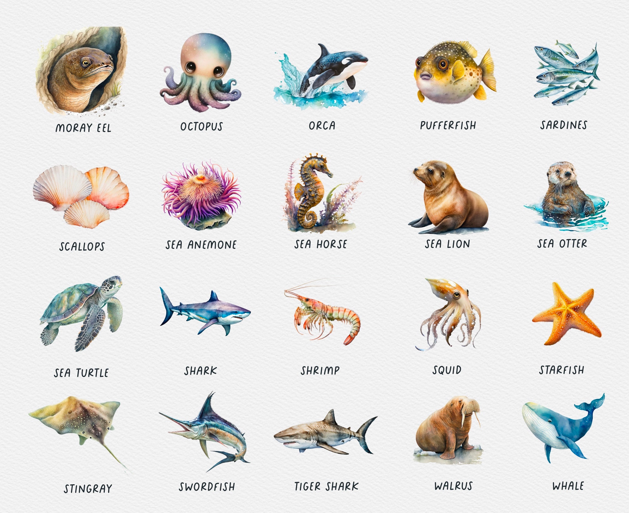 40 Ocean Animal Clipart Sea Animal Clipart Whale Dolphin - Etsy UK