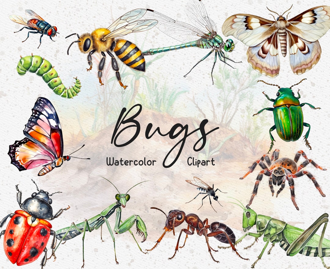 16 Watercolor Bugs Clipart, Watercolor Insect, Nature Clipart ...