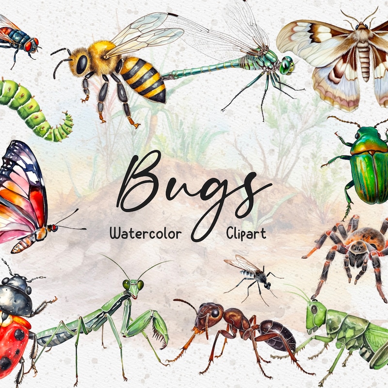 Watercolor Insects - Etsy