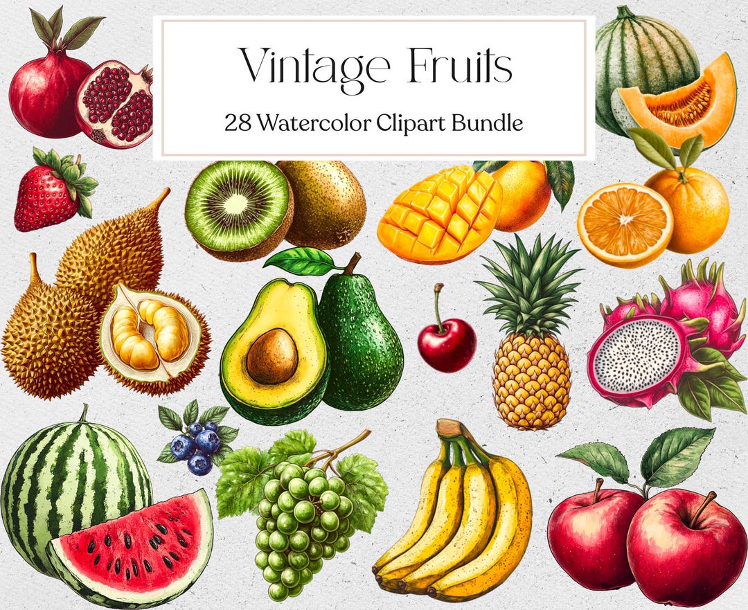 Fruits Vintage Clipart, Vintage Watercolor Fruit Illustration, Food PNG ...