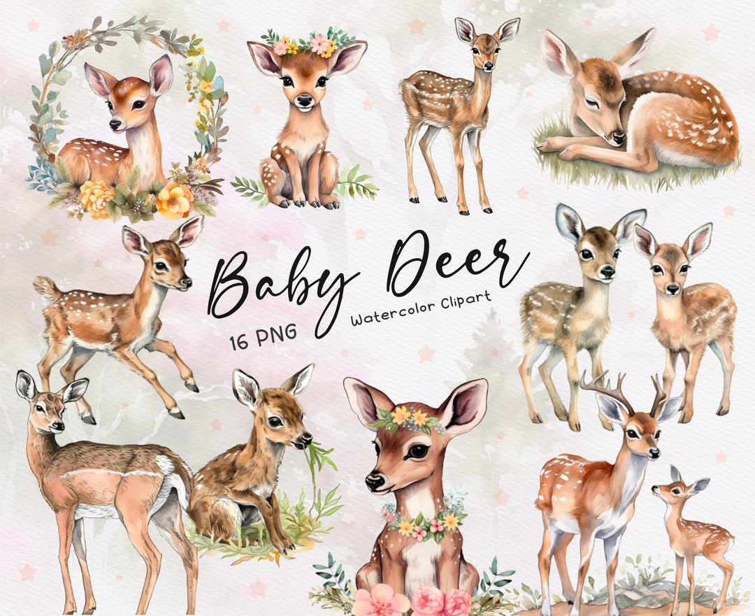 16 Baby Deer Watercolor Clipart, Watercolor Deer, Little Animals, Cute ...