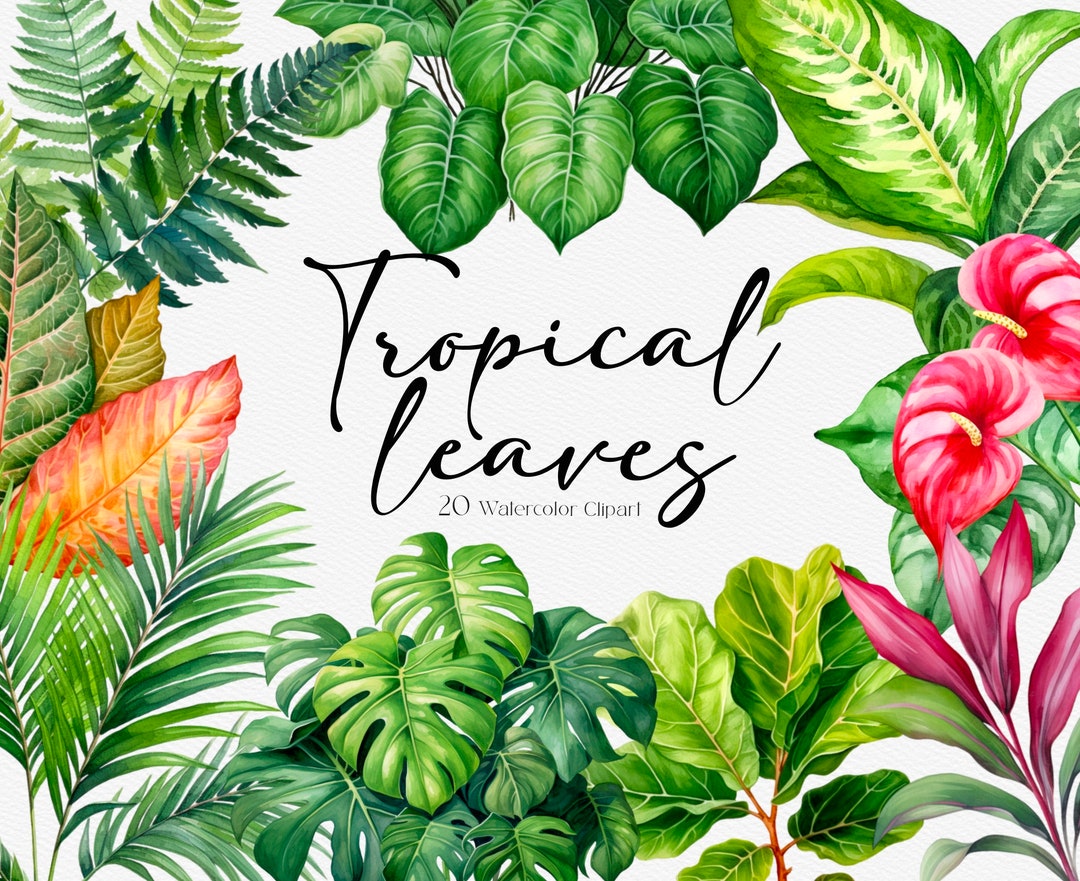 20 Tropical Leaves Watercolor Clipart, Tropical Leaf, Greenery Clipart ...