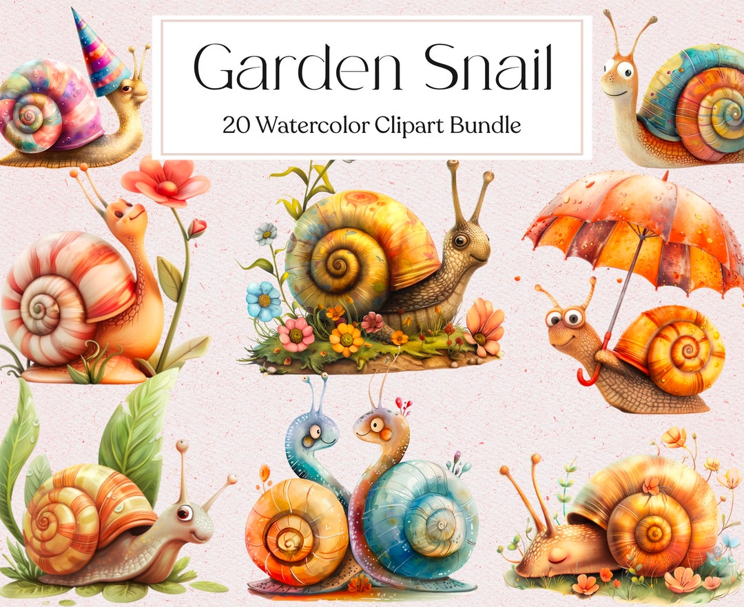 20 Cute Garden Snail Clipart, Watercolor Baby Snail Clipart, Little ...