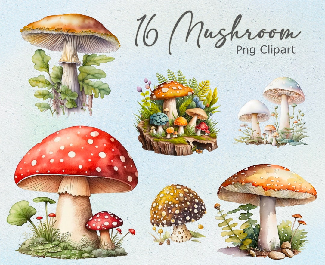 16 Mushroom Clipart, Vintage Botanical Art, Forest Mushrooms Png ...