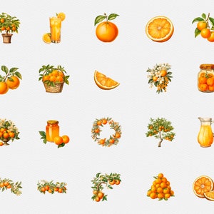 20 Watercolor Oranges Clipart, Fruit Clipart, Oranges Basket Png, Junk ...