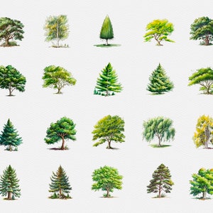 20 Green Trees Watercolor Clipart, Forest Png, Tree Cipart, Botanical ...