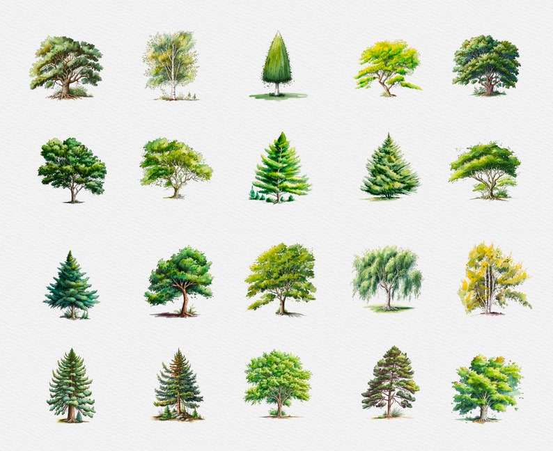 20 Green Trees Watercolor Clipart, Forest Png, Tree Cipart, Botanical ...