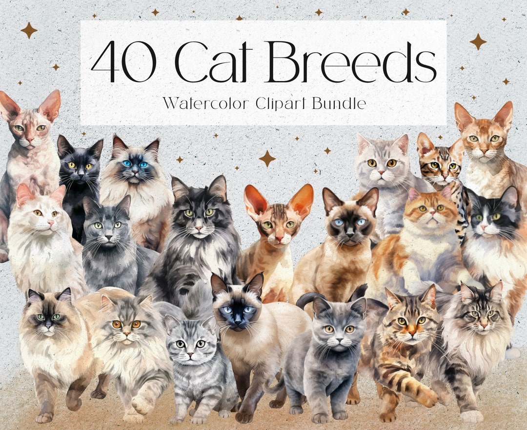 40 Cat Breeds Watercolor Clipart, Cat Lovers Gift, Kitten Clipart, Pet ...