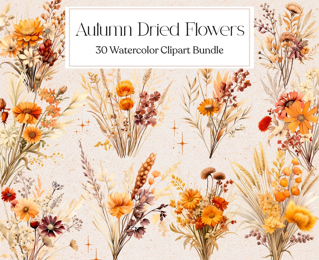 30 Autumn Dried Flowers Clipart, Watercolor Fall Dried Plants Clipart ...