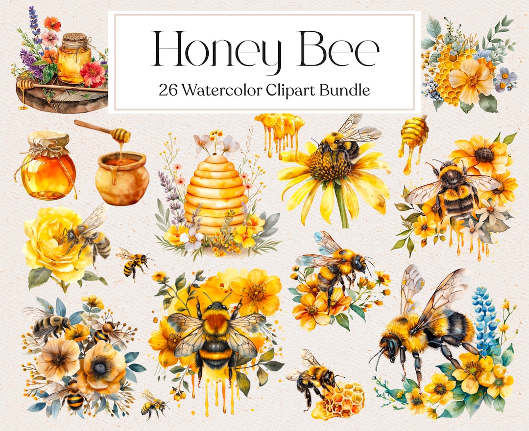 26 Watercolor Honey Bee Clipart, Honey Comb, Bee and Flower Clipart ...