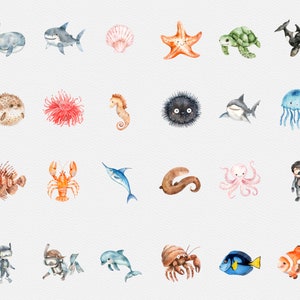 33 Underwater Clipart, Watercolor Undersea Animals Clipart, Cute Ocean ...