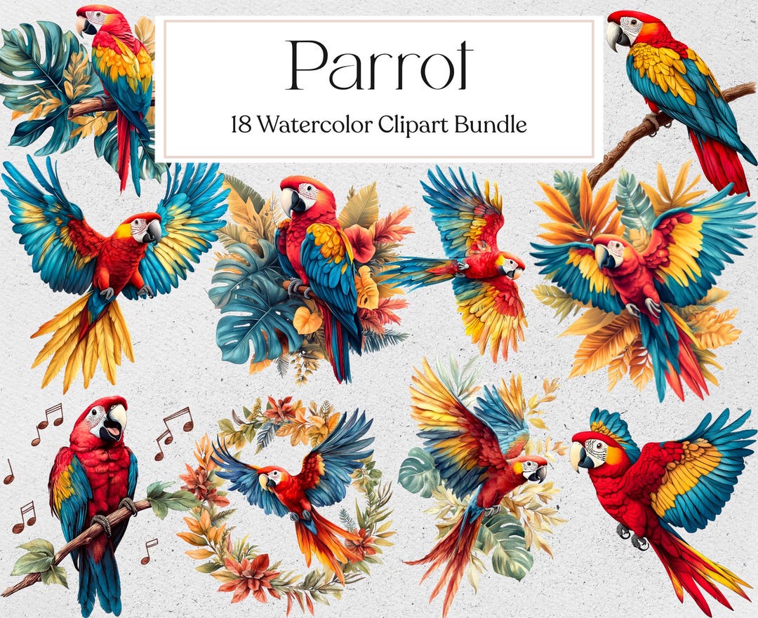 Parrot Clipart, Watercolor Tropical Birds PNG, Parrot Sticker, Instant ...