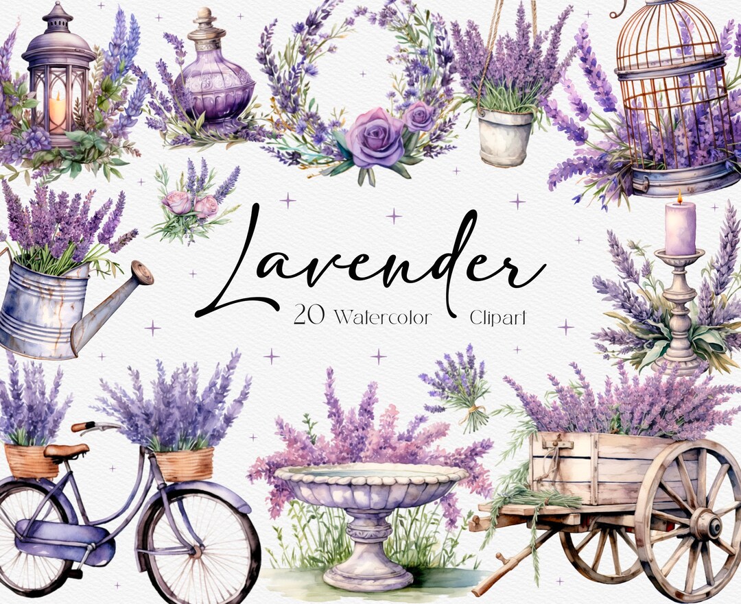 20 Watercolor Lavender Clipart, Provence Floral PNG, Gardening Clipart ...