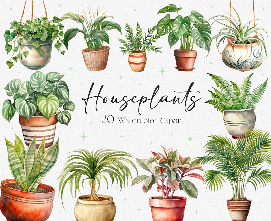 20 Watercolor Houseplants, Greenery Clipart, Home Plants Png, Succulent ...