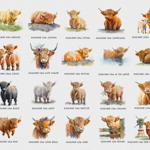 20 Highland Cow Clipart, Cow Watercolor Png, Nursery Art, Animal Farm ...