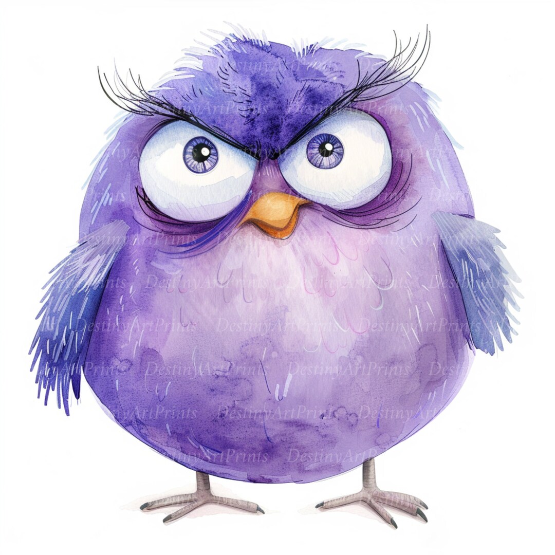 12 Grumpy Bird Clipart Cute Fluffy Bird Digital Clipart Watercolor ...