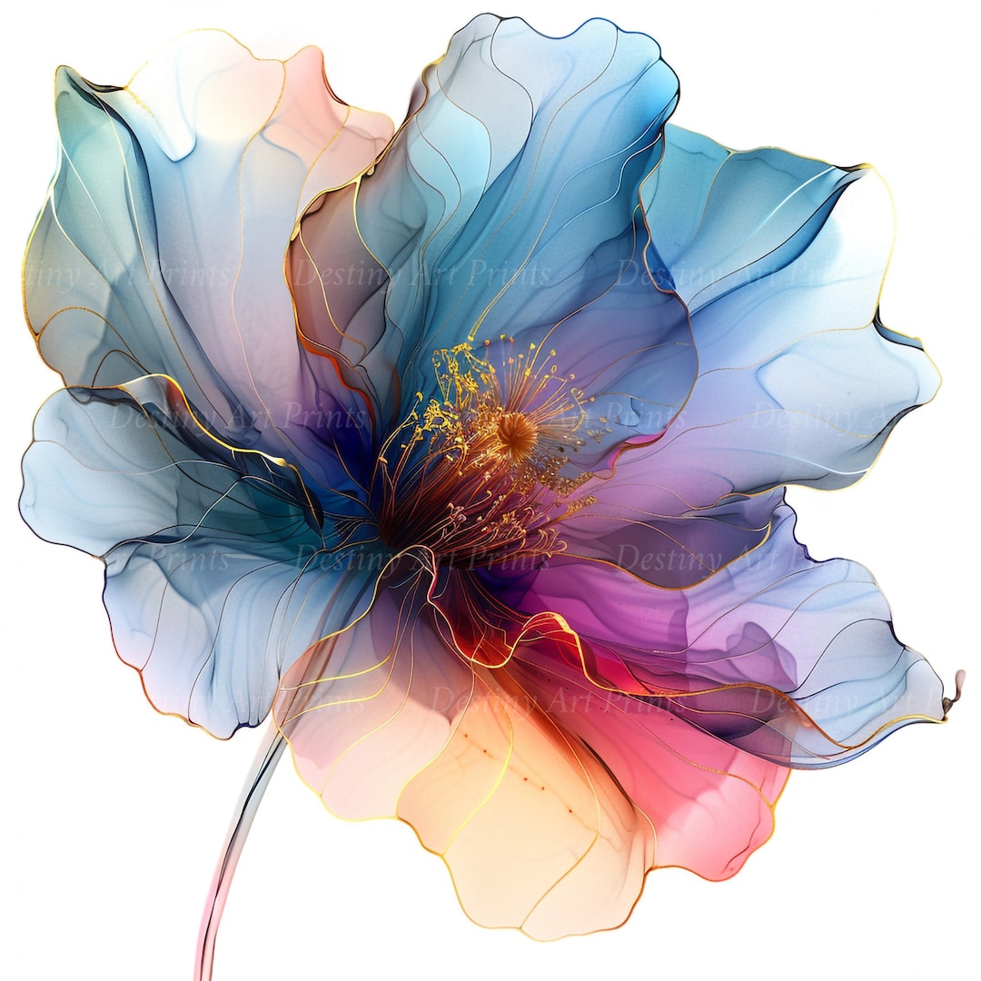 10 Abstract Flower Clipart | Abstract Flower Print | Multicolor ...
