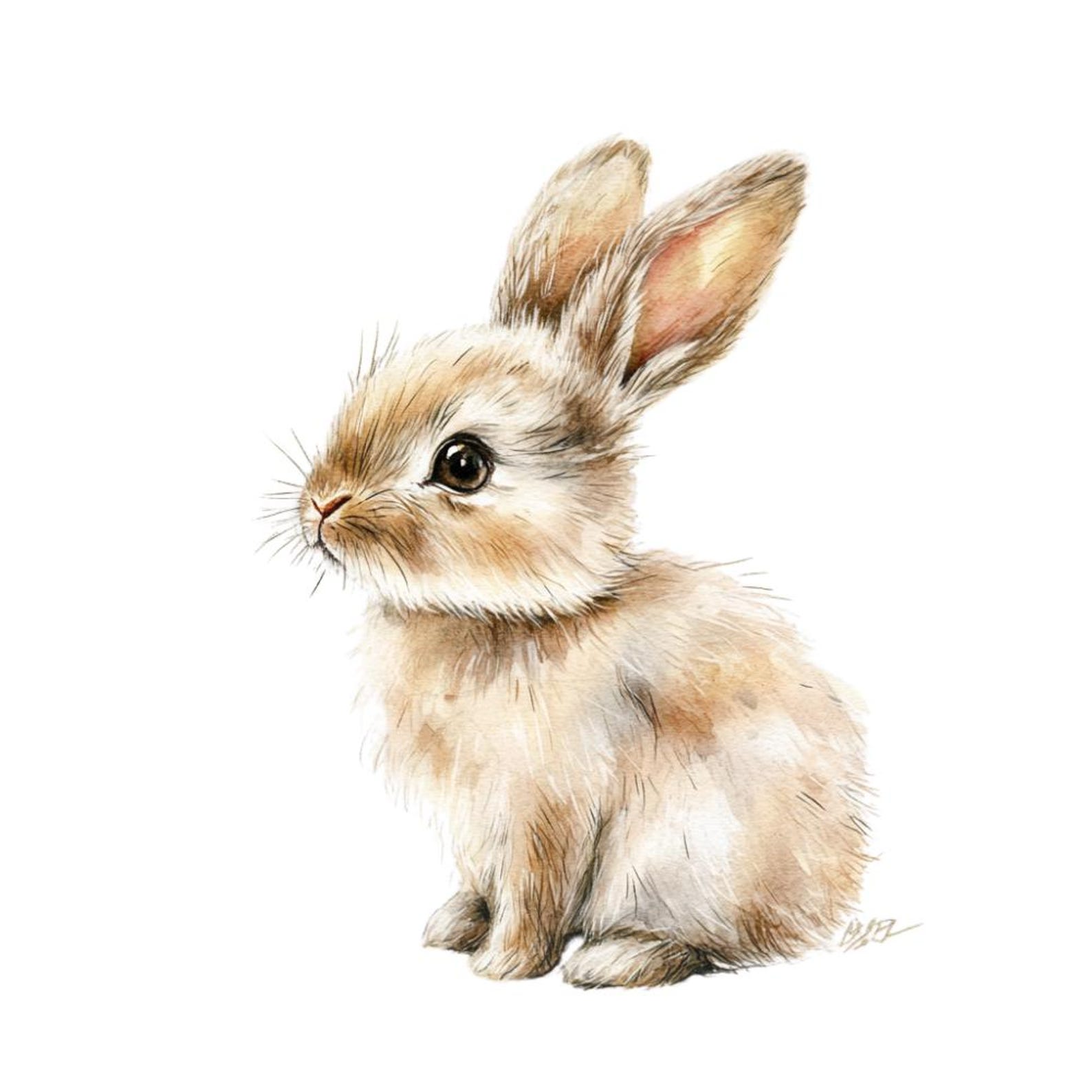 18 PNG Fluffy Bunny Clipart, Rabbit Clipart, Printable Watercolor ...