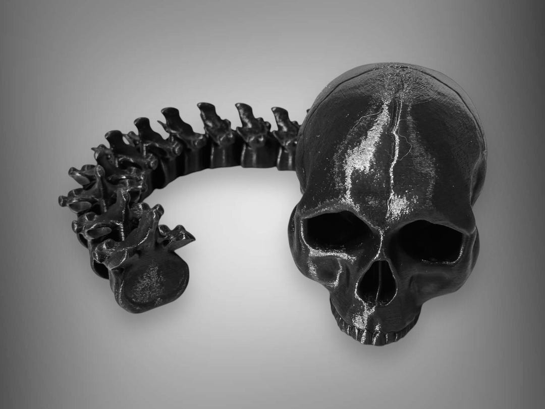 Articulating Predator Skull Trophy With Spine DIY - Etsy