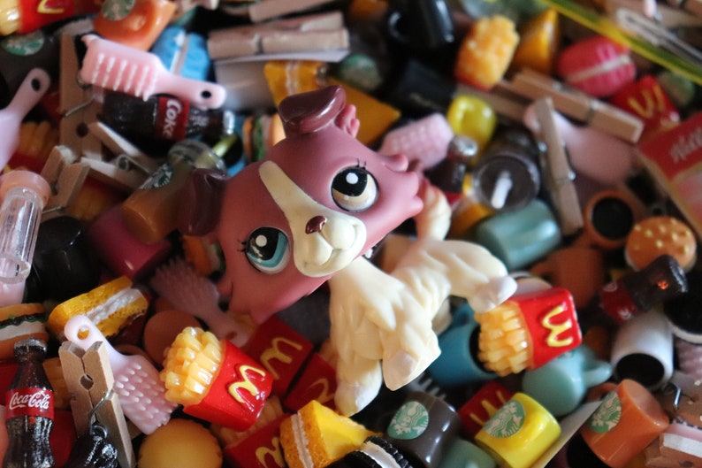 5 Pcs Littlest Pet Shop LPS Surprise Miniatures Dollhouse Food - Etsy