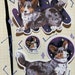 Blue Merle Space Corgi Stickers Pack VINYL - Etsy