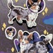 Blue Merle Space Corgi Stickers Pack VINYL - Etsy