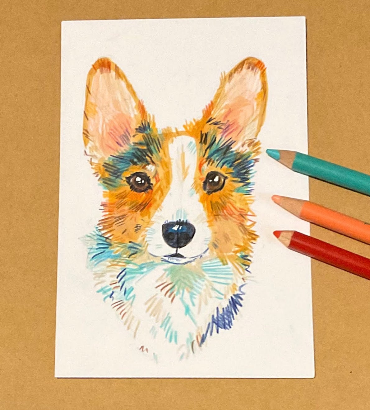 Corgi Pencil Drawing