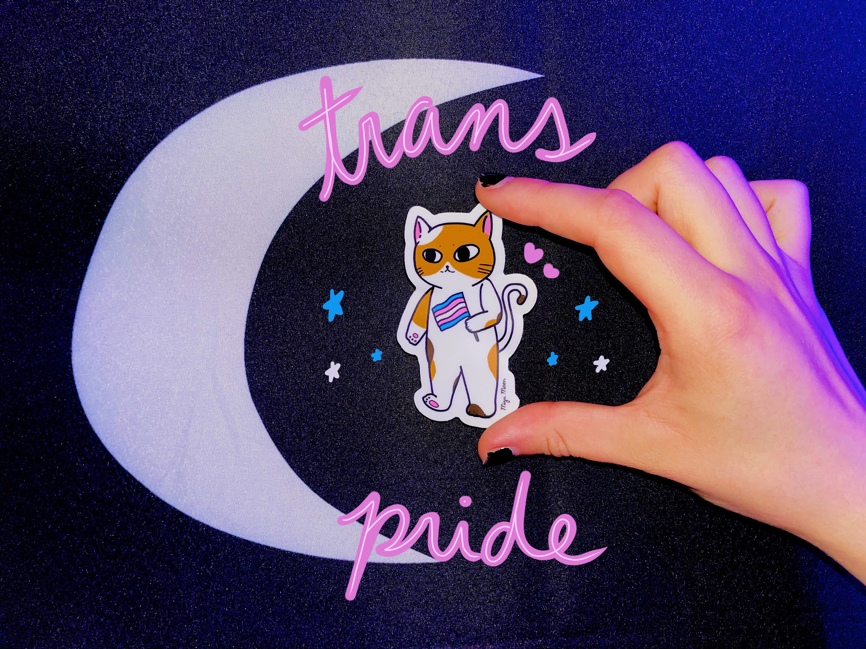 Transgender Pride Flag Cat Vinyl Sticker | Etsy