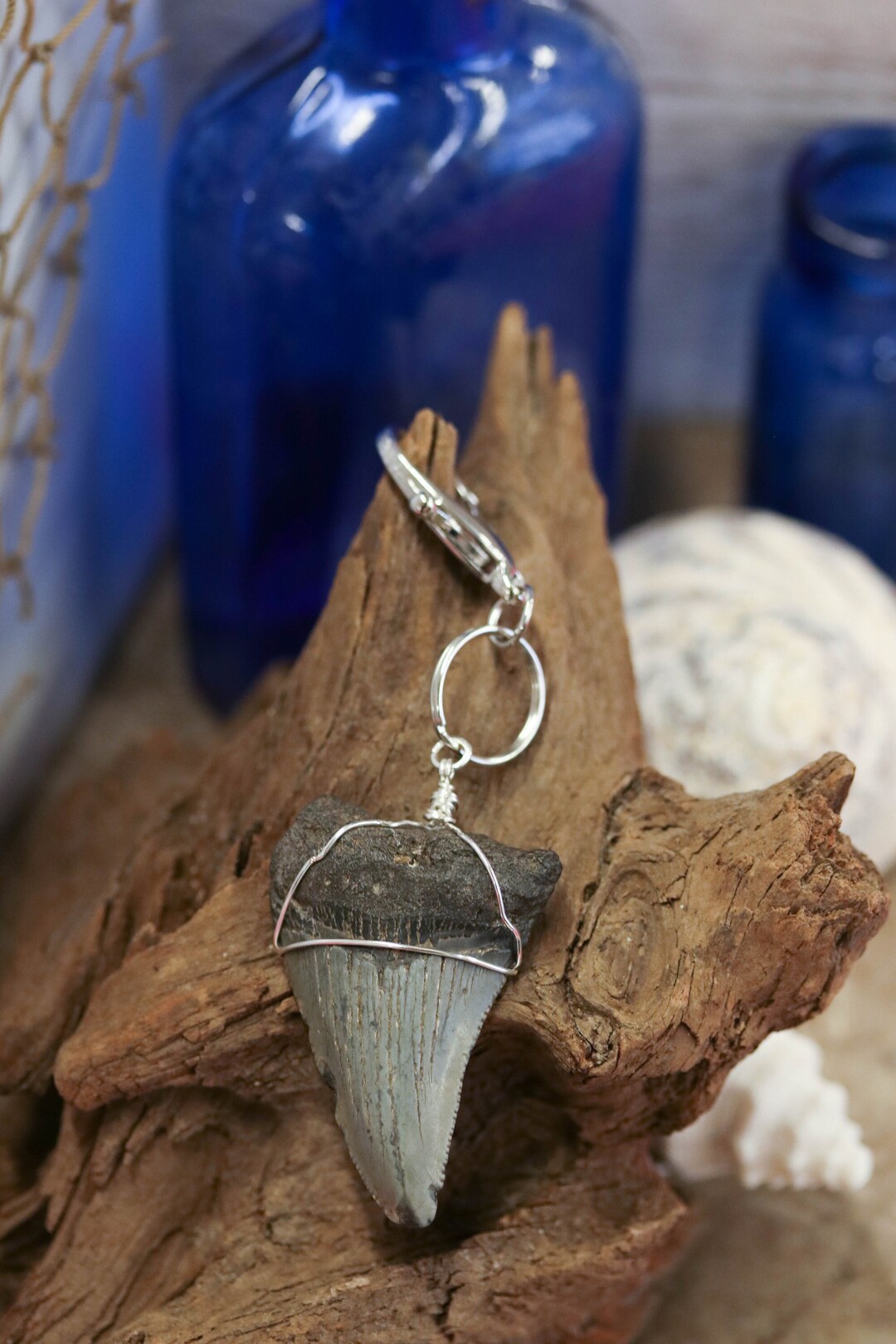 Authentic Megalodon Shark Tooth Fossil Keychain - Etsy