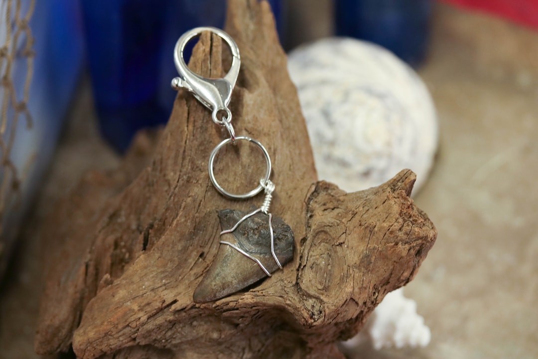 Authentic Megalodon Shark Tooth Fossil Keychain - Etsy