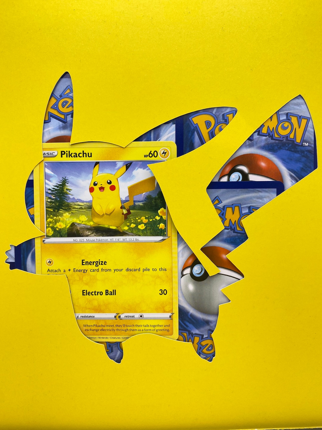 Pokémon Silhouette With Cards 8x10 Frame Included. Some Are Holographic ...