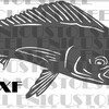 Cichlid Fish SVG - Etsy