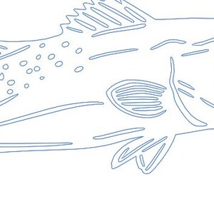 Speckled Trout Plasma SVG DXF CNC - Etsy