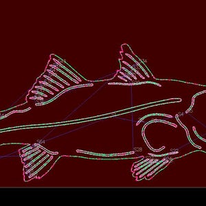 Snook Plasma SVG DXF CNC - Etsy