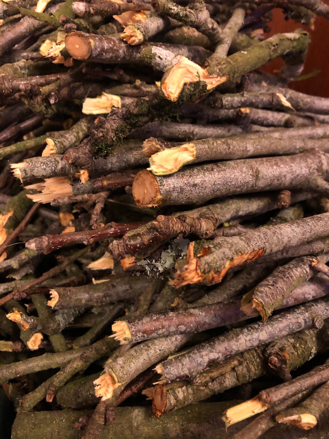 Organic UK Grown Apple Twig Sticks Pet Toy Chew - Chinchilla, Degu ...