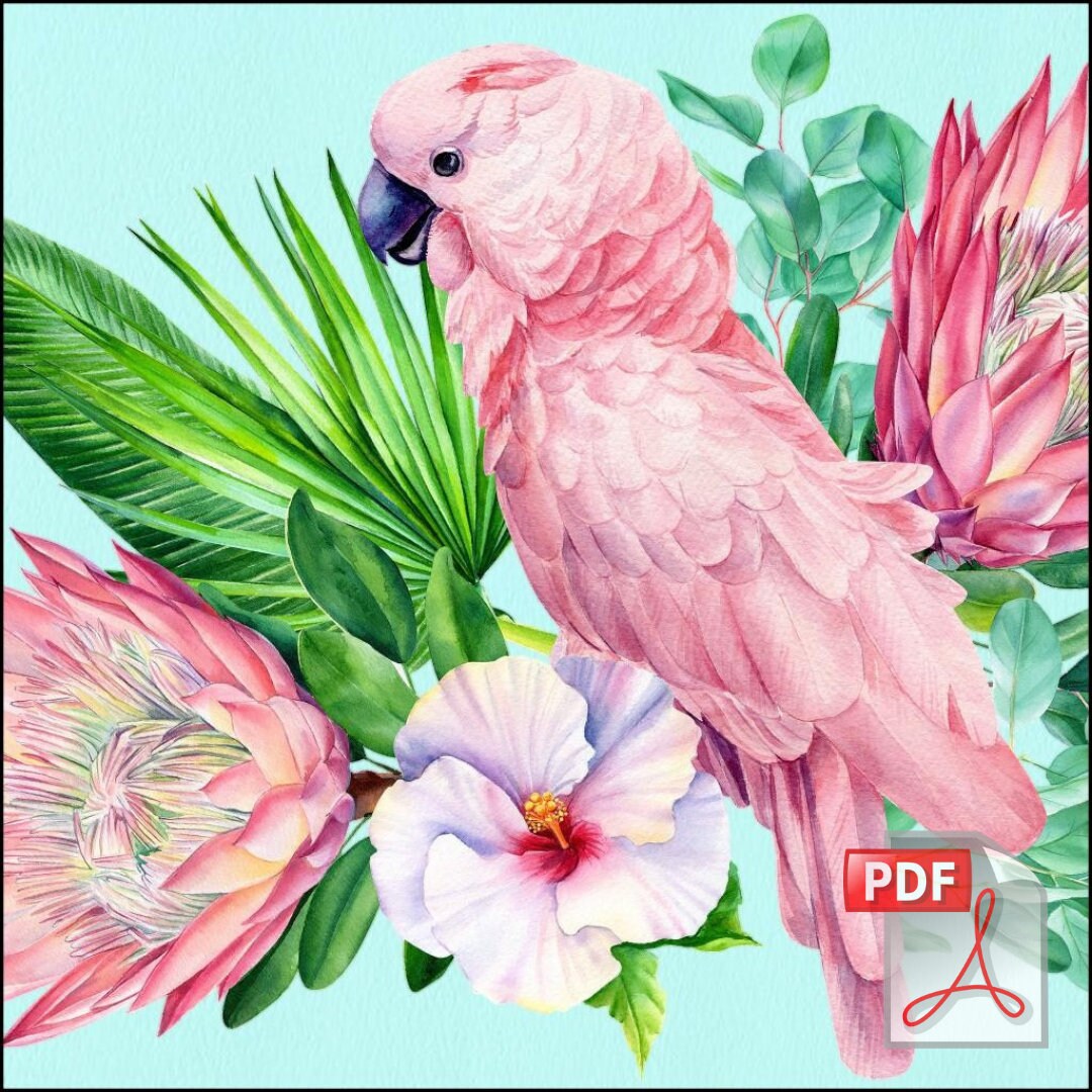 Pink Parrot Cross Stitch Pattern DMC PDF - Etsy