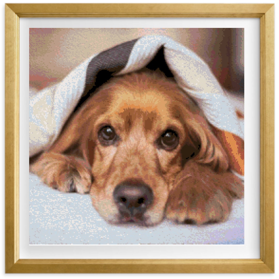 Dog Cross Stitch Pattern DMC PDF - Etsy