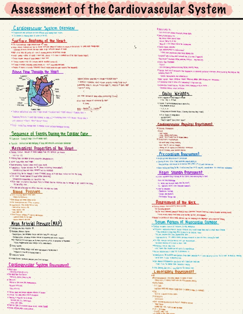 MEDSURG NOTES OVER 75 Pages Pass Nursing School With a Breeze!!!! - Etsy