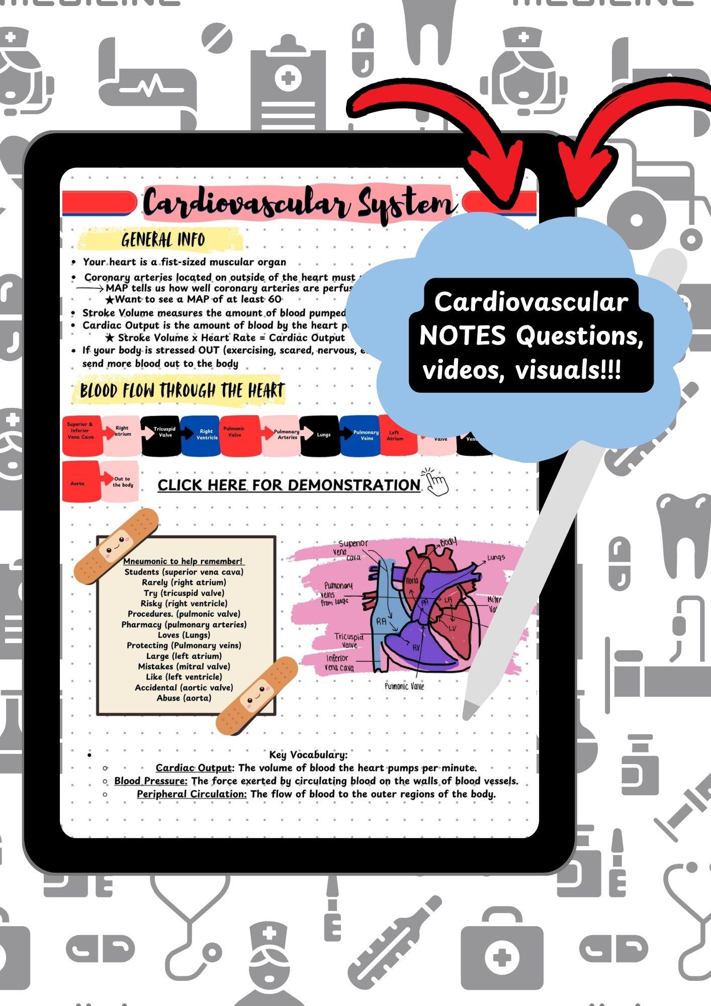 CARDIOLOGY NURSING SCHOOL Notes Key Elements That You Need to Know to ...