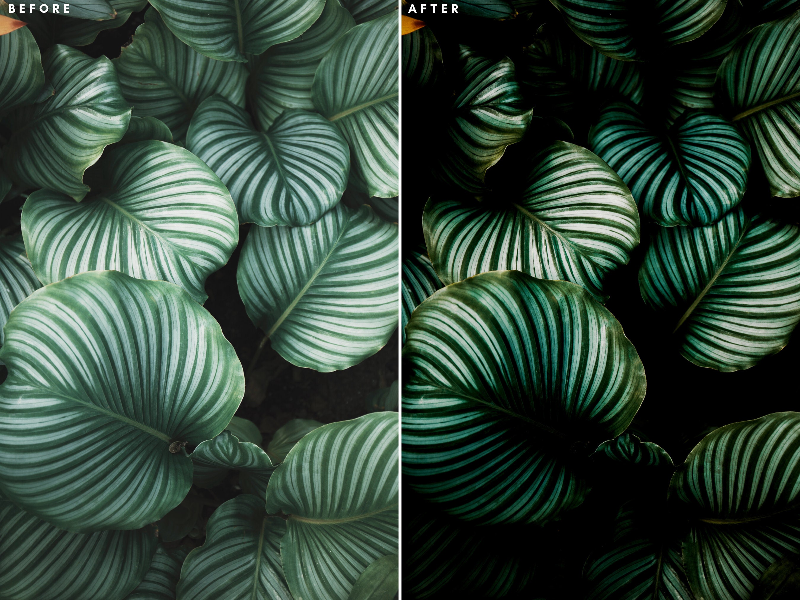 20 Green Cinematic Presets for Adobe Lightroom Mobile and | Etsy