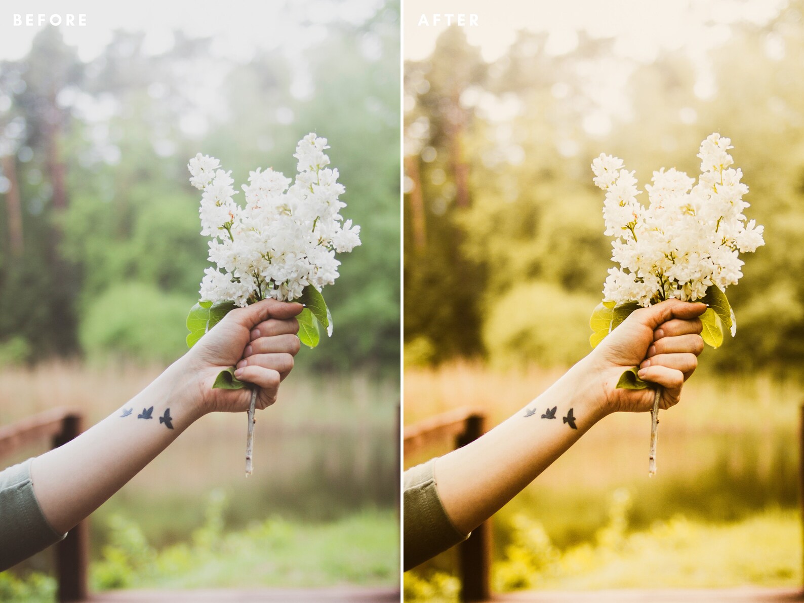 Warm Lightroom Presets for Lightroom Golden Filters for - Etsy