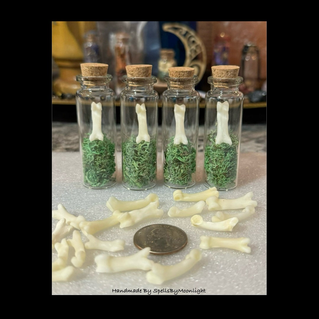 Real Bobcat Toe Bone Curiosity Jar Bone Terrarium Oddity Jar Witchy ...