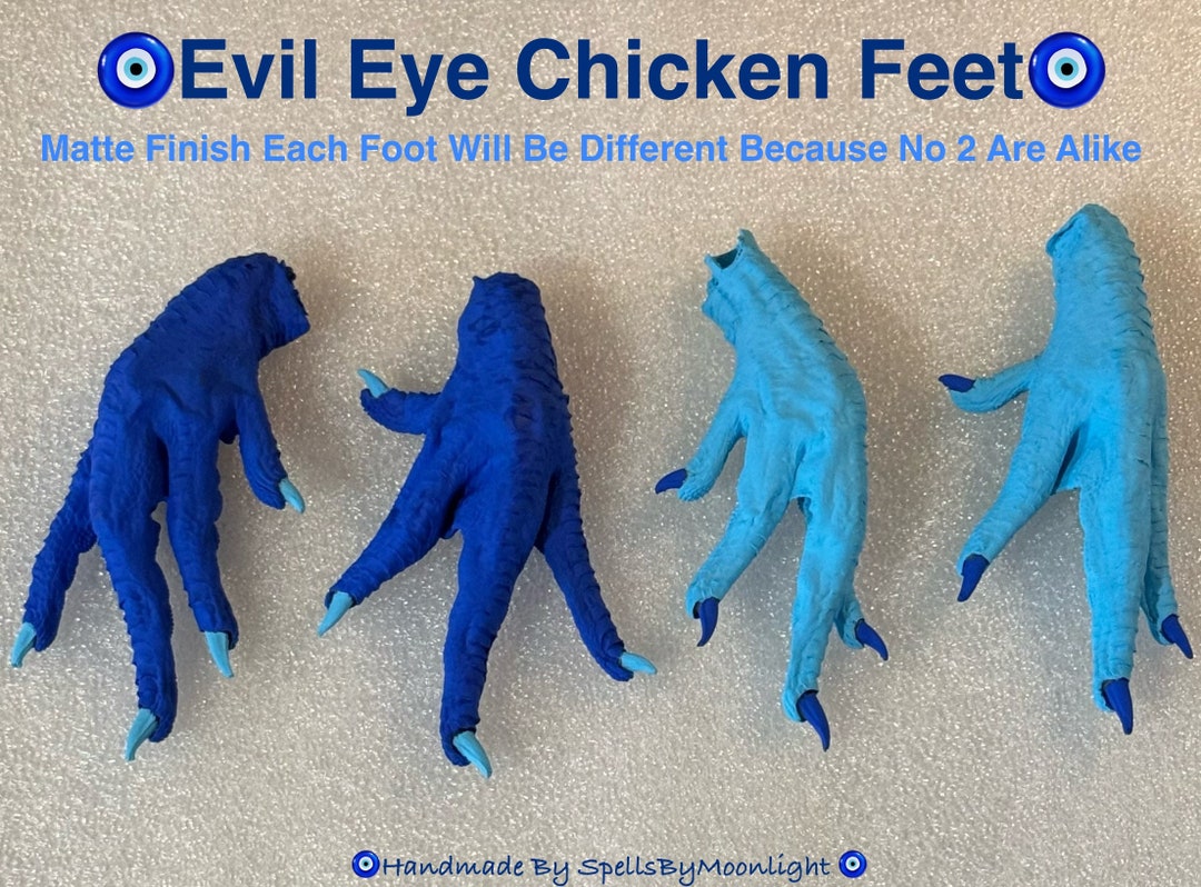Real Chicken Foot Evil Eye Chicken Feet Protection for Witch Hoodoo ...