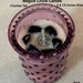 Real Bobcat Toe Bone Curiosity Jar Bone Terrarium Oddity Jar Witchy ...
