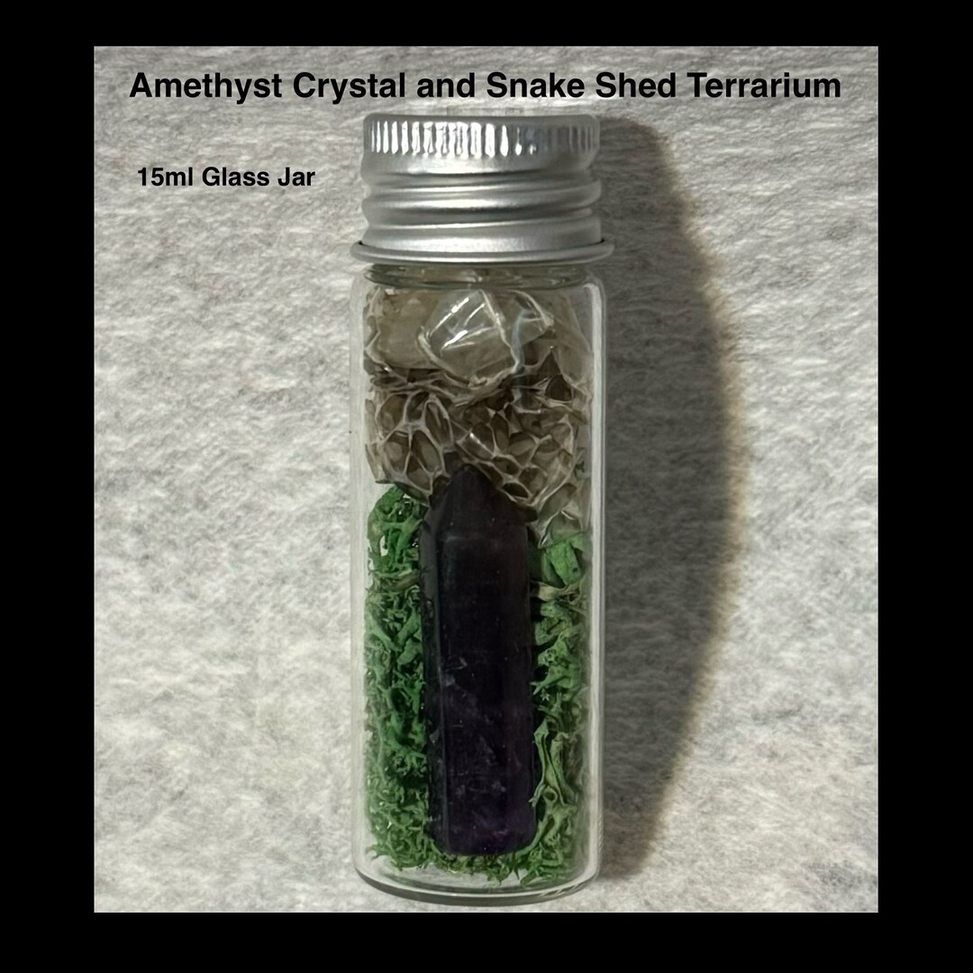 Amethyst Crystal Point and Snake Shed Terrarium Crystal in A Jar ...