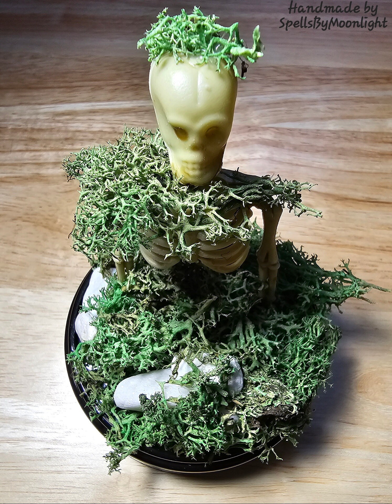 Skeleton Dome Art fake Skeleton - Etsy