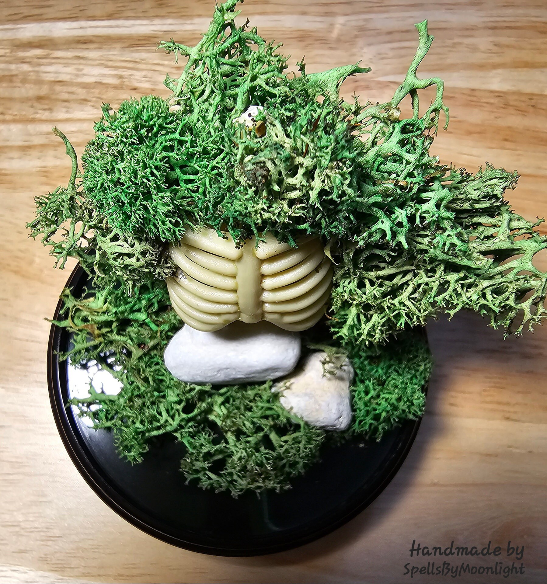 Skeleton Dome Art fake Skeleton - Etsy