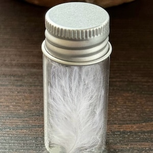 Four Elements Jars 4 Elements Altar Jars Work With the Elements Calling ...