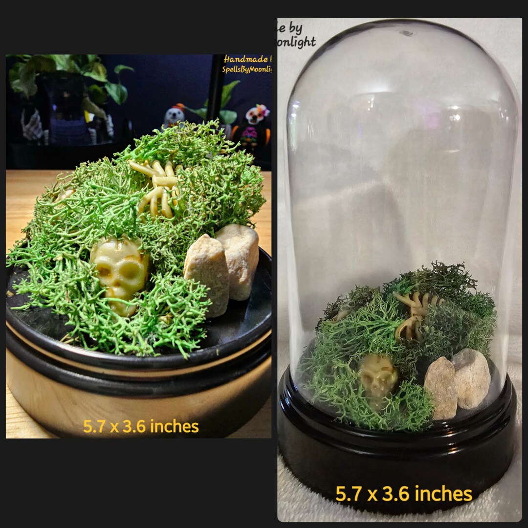 Samhain Altar Decor Dia De Los Muertos Decor Skeleton Dome Art (fake ...