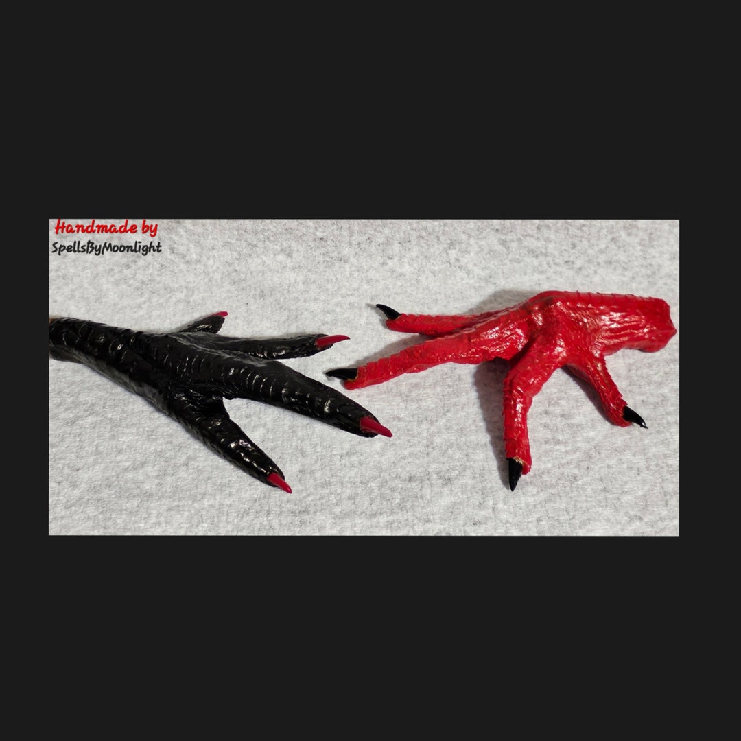 Real Chicken Foot Protection for Witch Hoodoo Chicken Foot Voodoo ...